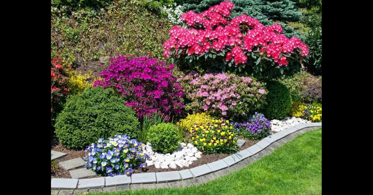A Guide to an Aesthetically Pleasing Flower Bed